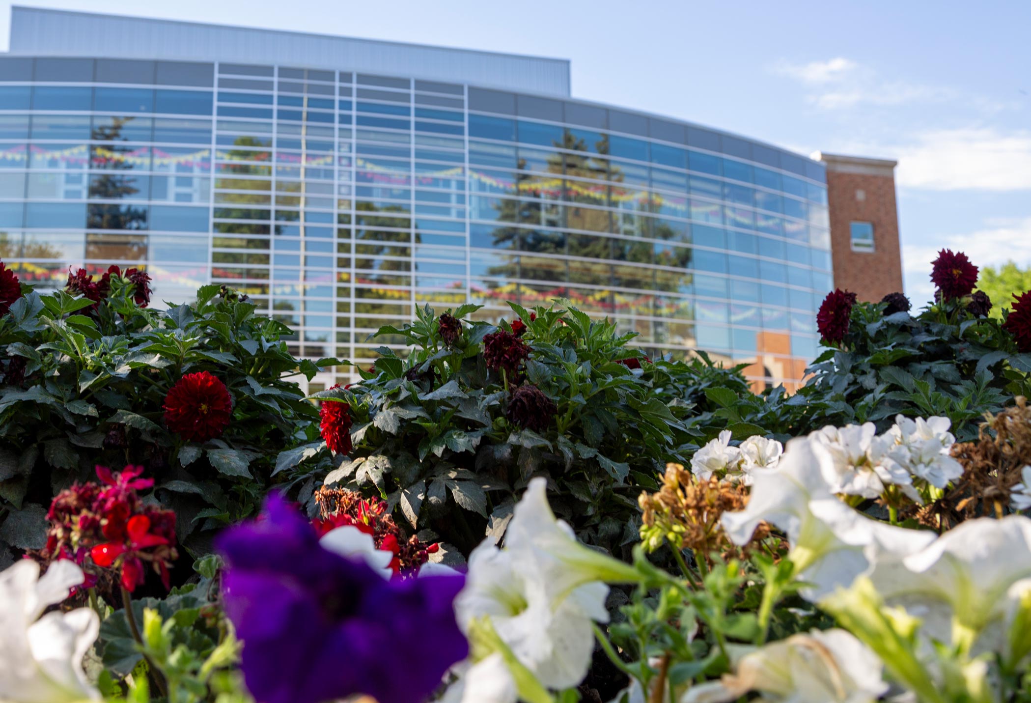 Support | Northern State Foundation Northern State Foundation